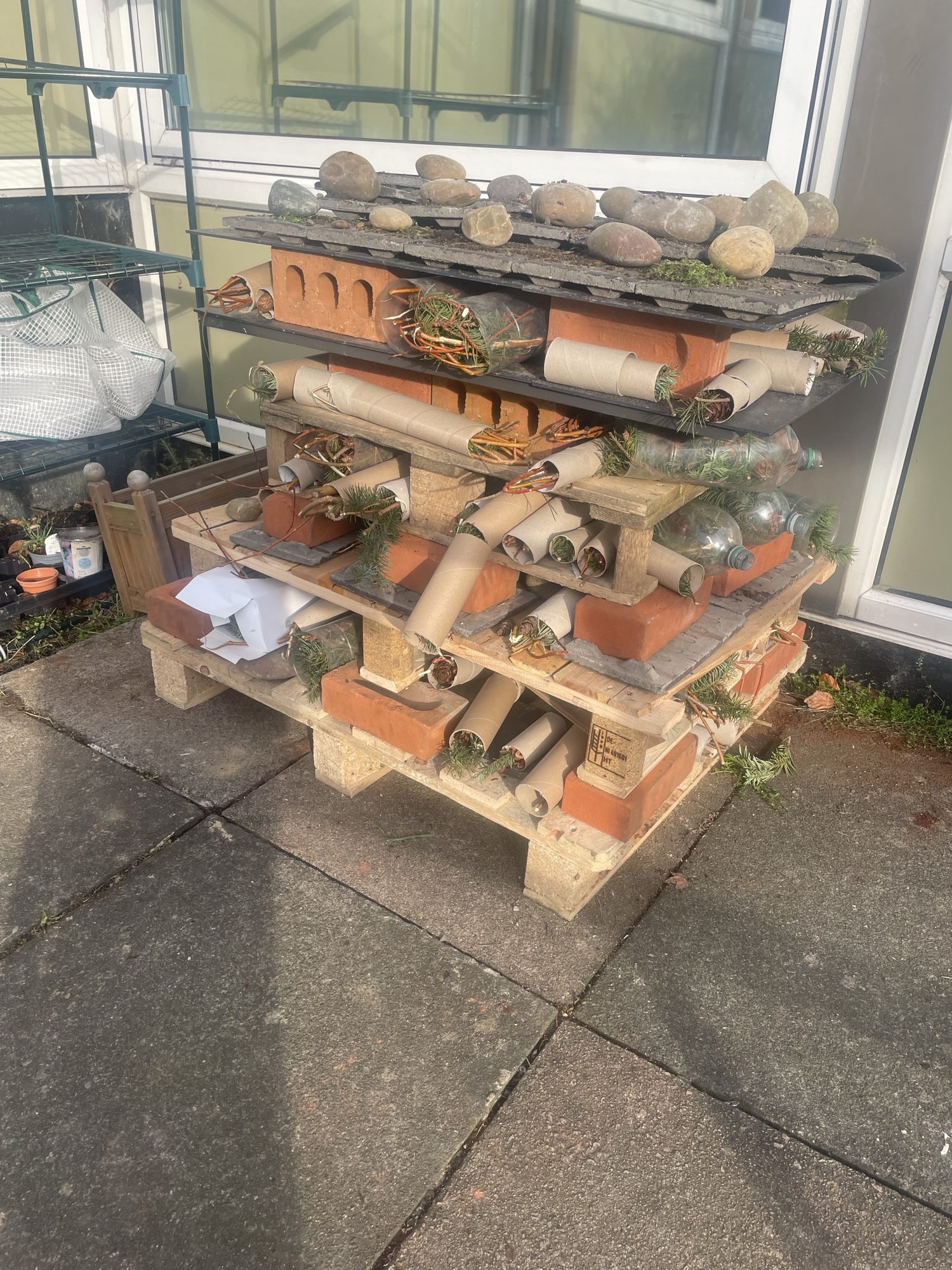 News – Pemberley Academy Primary School